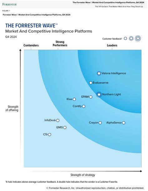 Valona Is A Leader The Forrester Wave Cmi Platforms Report 2024