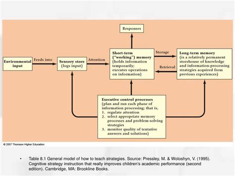 Ppt Chapter 8 Cognitive Development Information Processing