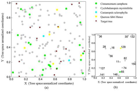 The Spatial Distribution Of The Target Trees In Th1 A The Spatial Download Scientific