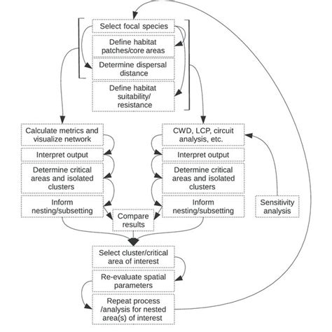 Flowchart Diagramming Our Connectivity Modeling Process Download Scientific Diagram