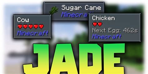 Jade For Minecraft 1 16 5