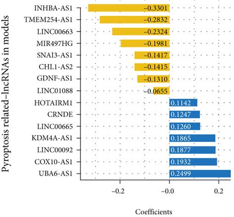 Identification And Construction Of A Pyroptosis Related Lncrnamodel In Download Scientific