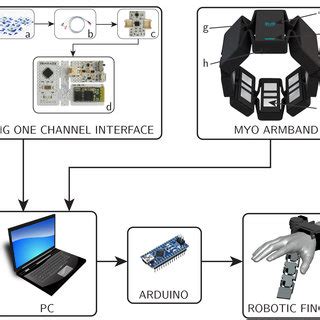 Block Diagram Of The EMG Circuit Board Gain Bandwidth Download Scientific