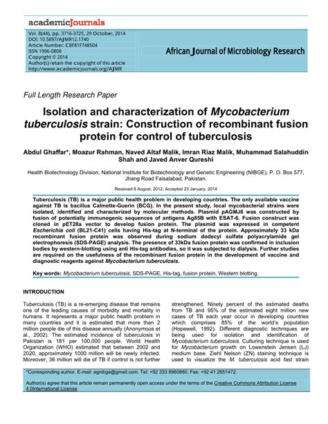 Pdf Isolation And Characterization Of Mycobacterium Tuberculosis