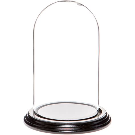 Plymor 4 X 7 Small Glass Display Dome Cloche Black Wood Veneer Base