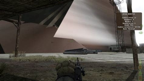 Graphical Issue Need Help What Causes This Rdayz