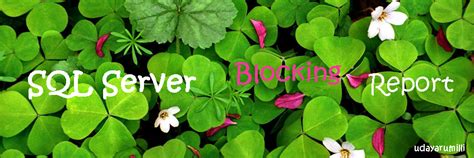 sql server blocking report
