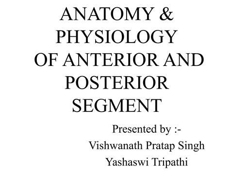 Anterior And Posterior Segment Of Eye Pptx