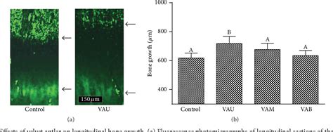 Figure 2 From Comparison Of The Effect Of Velvet Antler From Different Sections On Longitudinal