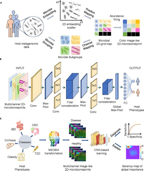 Figure 1 From Enhanced Metagenomic Deep Learning For Disease Prediction