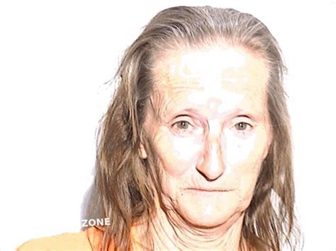 Myers Patricia M 07 11 2025 Lucas County Mugshots Zone