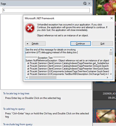 Build 2233 Unhandled Exception Microsoft Net Framework When Using Search In Tag Tree Daminion