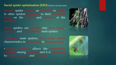 Social Spider Optimization Sso Pptx