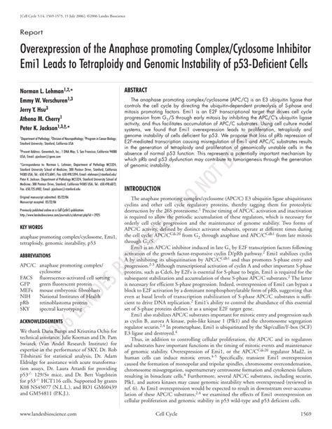 Pdf Overexpression Of The Anaphase Promoting Complex Cyclosome Inhibitor Emi1 Leads To