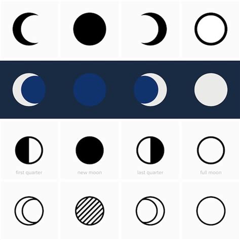 Premium Vector Four Main Phases Of The Moon