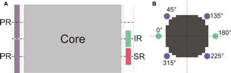 Schematic View Of Ex Core Detector Locations Source Range Sr Download Scientific Diagram