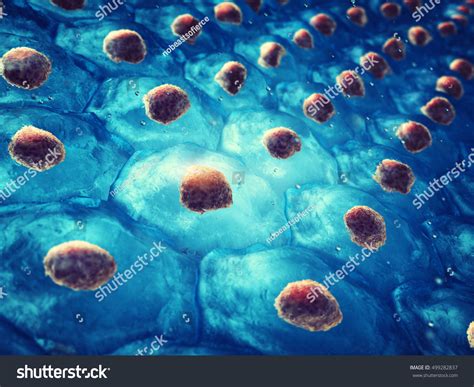 Embryonic Stem Cell Colony Cellular Therapy Stock Illustration