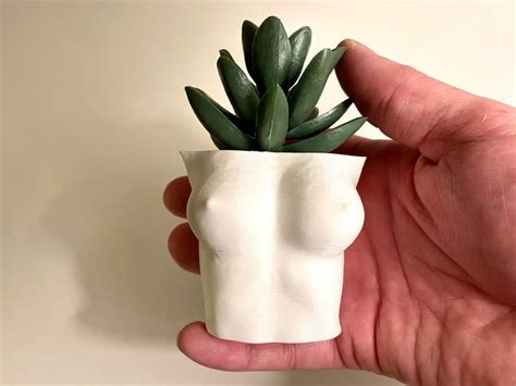 Sexy Erotic Art Planter Pot Erotic Gift For Him Erotic Deco Etsy