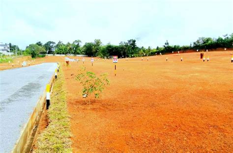 මහවැලි ඉඩම් රහසේ බෙදාදීම Lankadeepa Online