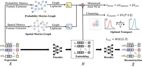 논문 리뷰 Sccdcg Efficient Deep Structural Clustering For Single Cell Rna Seq Via Deep Cut