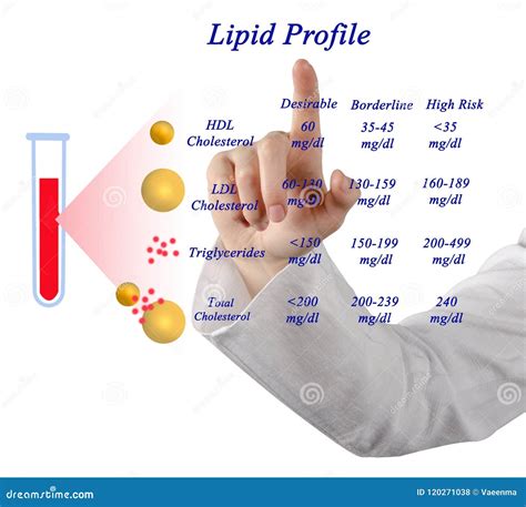 Triglyceride Level Chart On A Table Stock Photography CartoonDealer Com