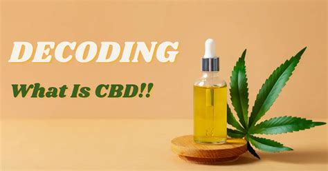 Decoding Cbd What Is Cbd Full Form Benefits And Medical Abbreviati