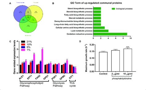 The Integrated Analysis And Verification Of Multi Omics Data A The Download Scientific