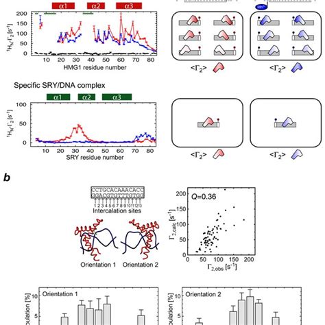 Characterization Of Non Specific Dna Binding Of Hmgb 1a By Pre A Download Scientific Diagram