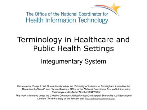 Integumentary System Lecture A Slides PPT