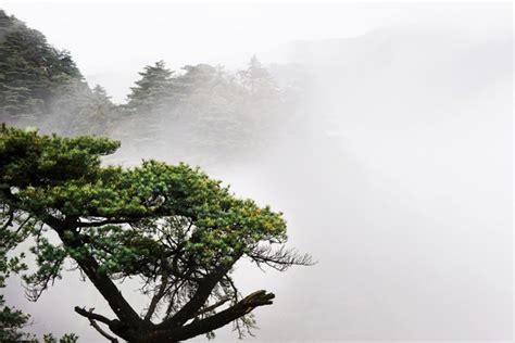 宜章莽山地图 宜章莽山 宜章 大山谷图库