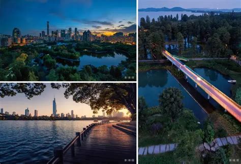 华宇集团 公园绿意咫尺，绽放诗意栖居 知乎