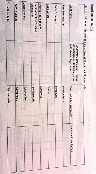 Non Synovial Joints Find The Following Joints On The Skeleton And Fill