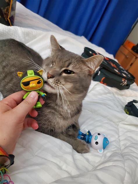 ️twinzies ️ Kinda R Octonauts