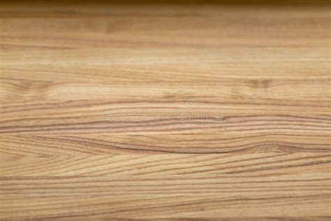 Oak Background Wood Texture Stock Image Image Of Material Chipboard