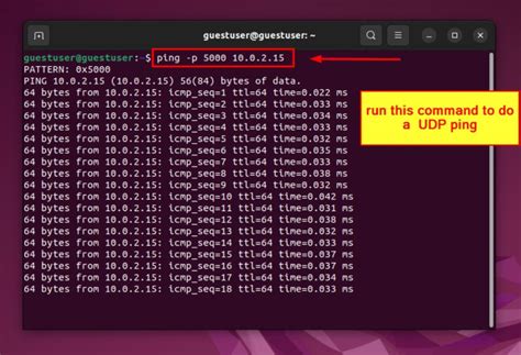How To Do A Udp Ping In Linux 3 Effective Methods