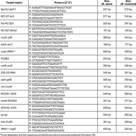 Primers Used To Analyze Intergenic Regions Download Scientific Diagram