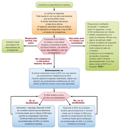 Algoritmos De Soporte Vital BÁsico Svb Bls Para NiÑos Y Adultos