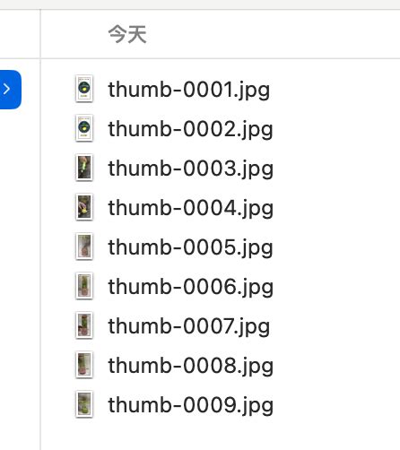node环境中使用fluent ffmpeg每隔一秒视频截图 张鑫旭 鑫空间 鑫生活