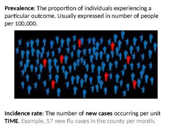 Biology Sex Education By The BioHub Teachers Pay Teachers