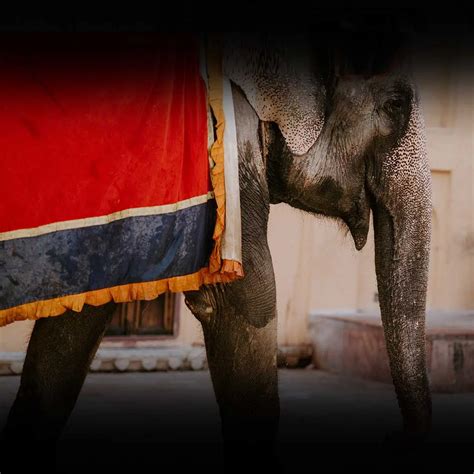 Last Day Of Passover April 9 2026 National Today