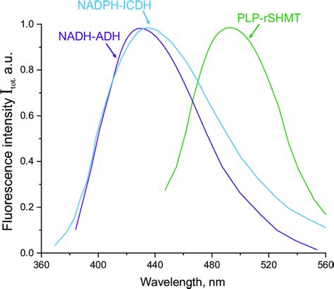 Fluorescence Spectra Of Nadh Adh 33 Under Excitation At 330 Nm