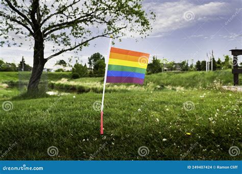 Miniature Rainbow Flag At A Public Park Editorial Stock Image Image Of Equality Lesbian