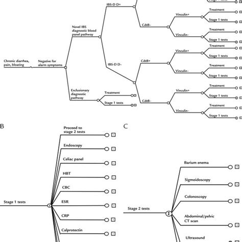 Schema Of A Cost Minimization Model Design B Diagnostic Tests And Download Scientific