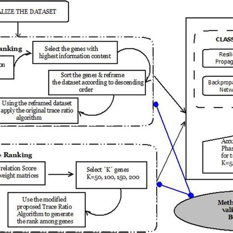 Schematic Proposed Model Download Scientific Diagram