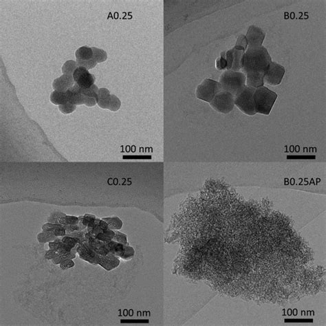 Representation Of Grafted Nipam Bis Brushes Collapsing By Temperature Download Scientific