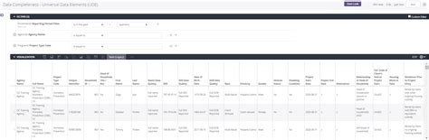 Data Completeness Reports Oc Hmis