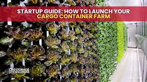 A Guide To Different Types Of Shipping Containers