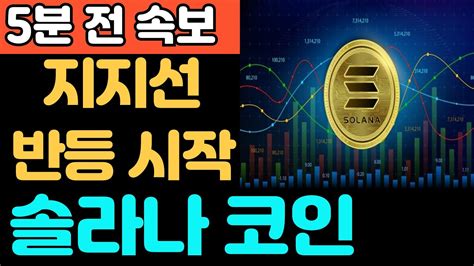 솔라나 코인 솔라나 Etf 출시로 5분 전 속보 지지선 반등 시작 Youtube
