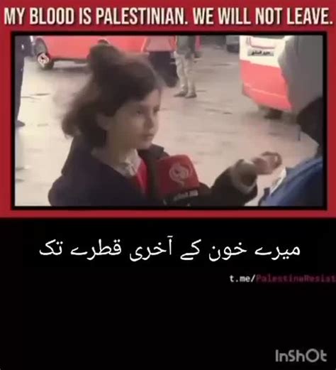 adnan riaz ahmad on linkedin we have to feel some shame if we have and i request to all those who…