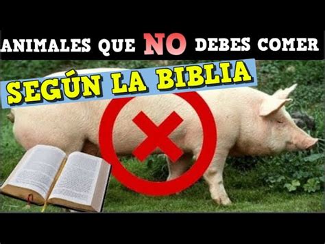 Animales Rumiantes De Pezuña Hendida Una Lista Mi Tienduca